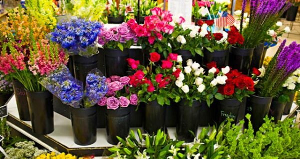 Market - Mission Ranch Markets